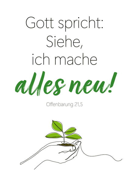 Siehe, ich mache alles neu (10 Postkarten)
