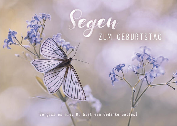 Vergiss es nie: Du bist ein Gedanke Gottes (12 Postkarten Geburtstag)